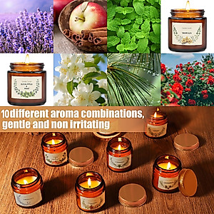 10 Pack Candles for Home Scented Aromatherapy Candles Gifts Set for Women, Natural Soy Wax Amber Candles Set, Birthday, Mother's Day, Christmas, Anniversary Present