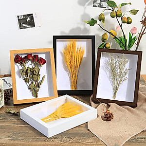 Shadow Box Picture Frame,Frame for Dried Flowers,1.2" Deep Hollow Display Frame,Graduation Cap Shadow Box for Wall and Tabletop Display Bouquet Mementos Medals Photos Memory Box (8.25X11.75)