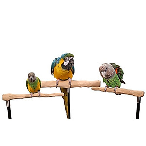 Parrot Training Perch Kit (T Perch, XL)