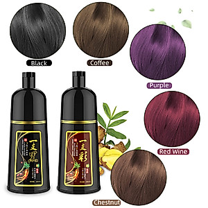 ALEXTREME Black Hair Dye, Hair Dye Color Shampoo Beauty Nourishes Long Lasting Care for Men Women Home Salon