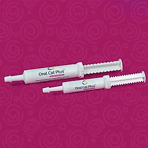 Breeder's Edge Oral Cal Plus- Fast-absorbing Oral Calcium Supplement - 15 ml Paste