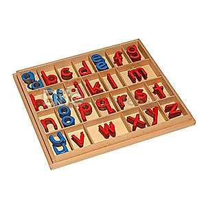 Elite Montessori Wooden Movable Alphabet with Box Preschool Spelling Learning Materials (Red & Blue, 5mm Thick)