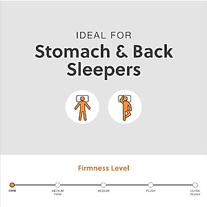 Signature Design by Ashley Queen Mask Augusta2 Mattress 12 Inch Euro Pillow Top Hybrid Mattress with Lumbar Support Gel Memory Foam