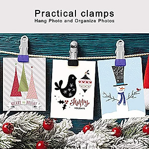 DKKO Stainless Steel ClothesPins Multi-Function Clips Hanging Towel Clamp Cloth Picture Food Bag Sturdy Heavy Duty,20pcs Black