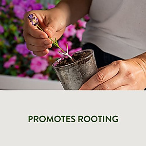 Garden Safe Take Root Rooting Hormone, Promotes Rooting, Grow New Plants From Cuttings, 2 Ounce