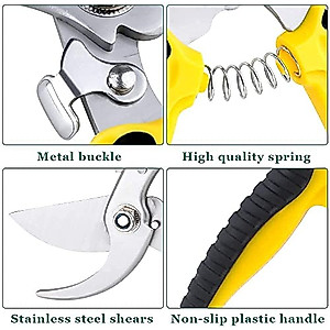Garden Secateurs, Stainless Steel Pruning Shears, Garden Bonsai Tools, 3 Pack Ergonomic Garden Secateurs Set for Fruit Branch, Hedge, Fruits & Vegetables, Plants(With Garden Gloves and Box)