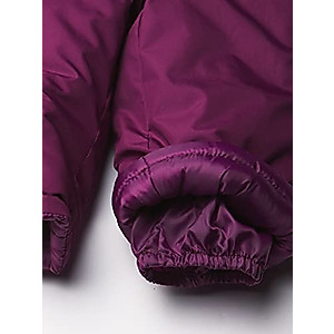 OshKosh B'Gosh baby girls Ski Jacket and Snowbib Outfit Set Snowsuit, Burgundy/Pink, 12 Months US