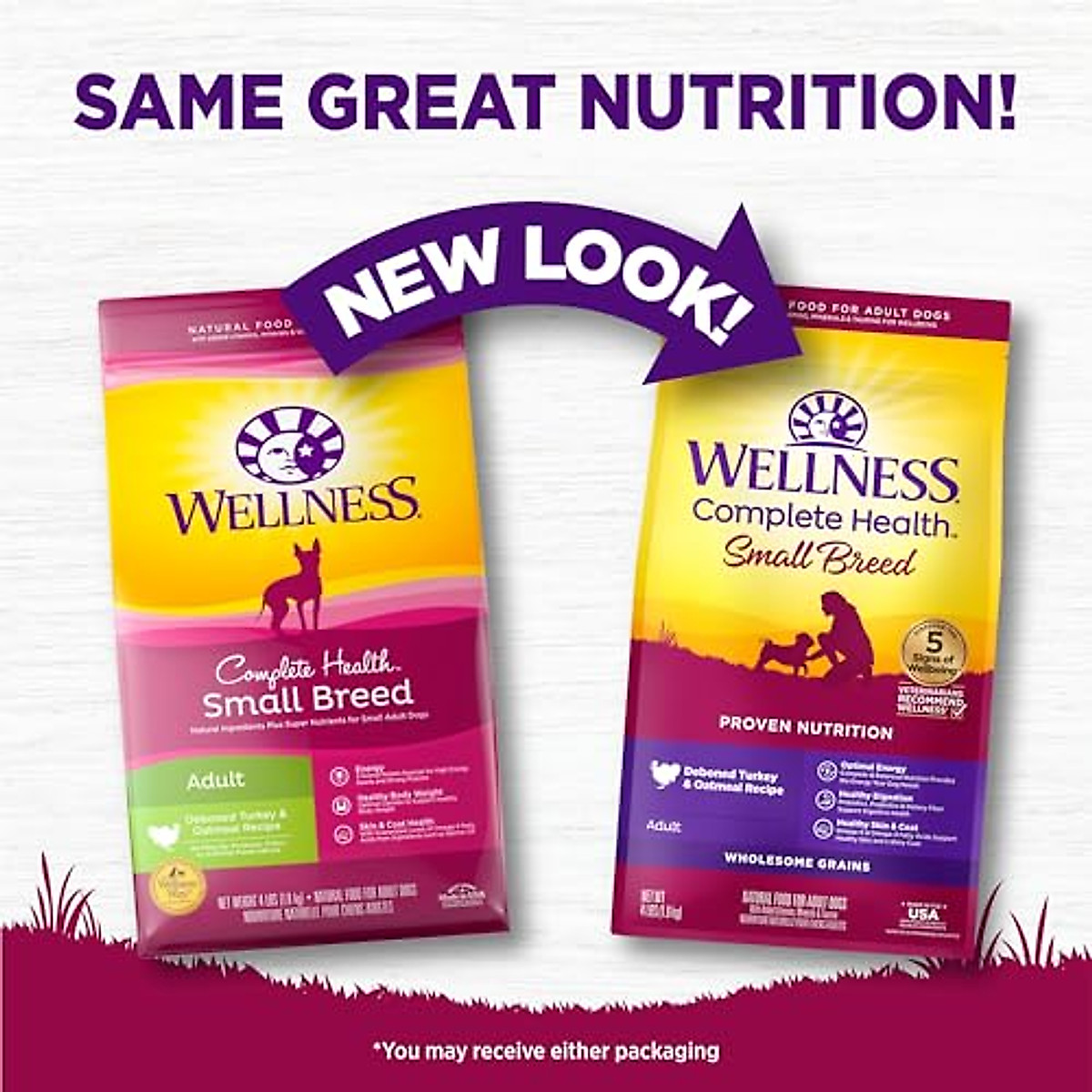 Wellness Complete Health Small Breed Dry Dog Food with Grains, Natural Ingredients, Made in USA with Real Turkey, For Dogs Up to 25 lbs, (Adult, Turkey & Oatmeal, 4-Pound Bag)