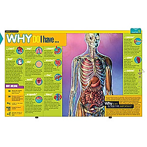 National Geographic Kids Why?: Over 1,111 Answers to Everything