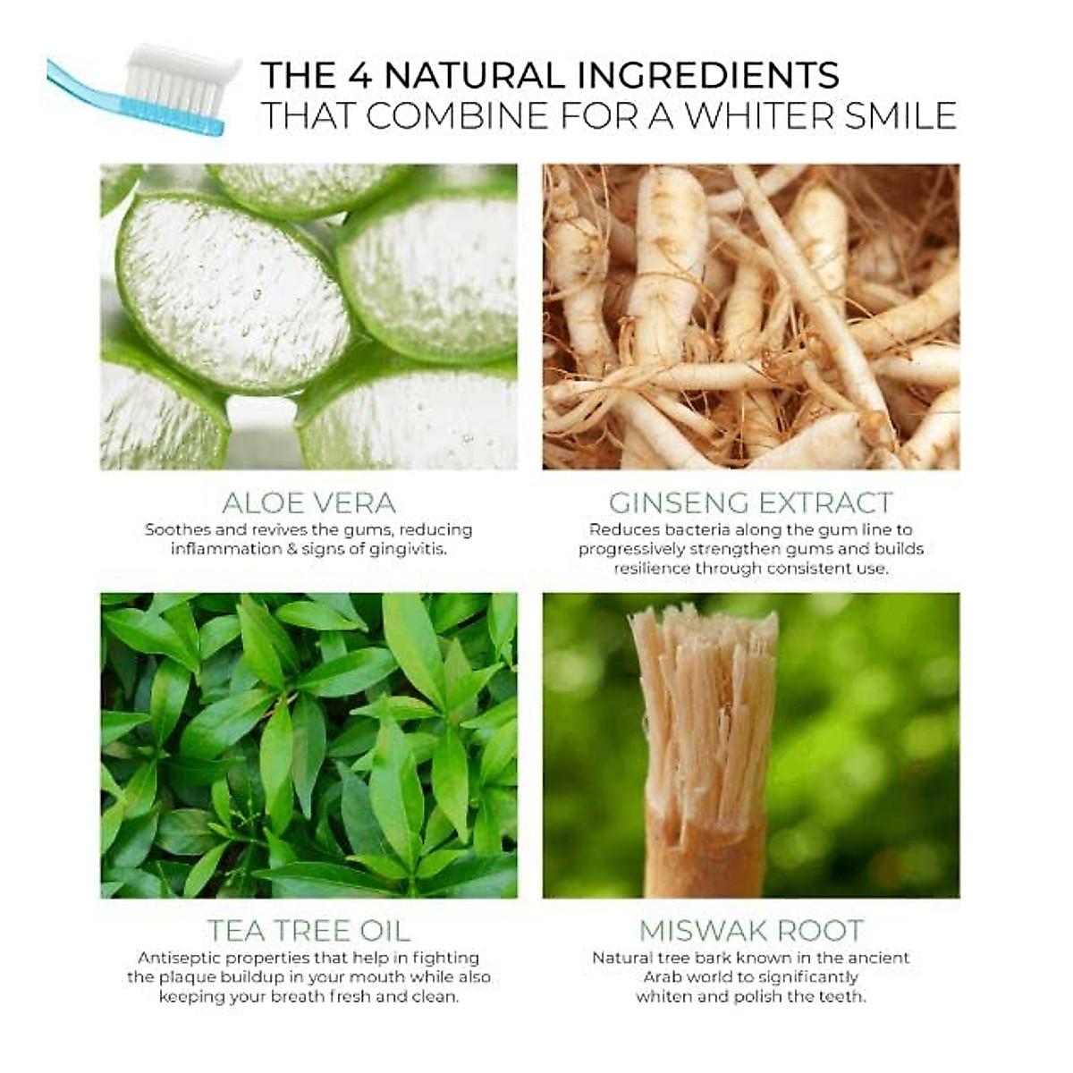 FARMASI Eurofresh Whitening Toothpaste, Provides Sensitive Teeth and Oral Care, It Refreshes The Breath and Provides a Solution to Tea and Coffee Stains, 3.7 fl. oz / 112 ml