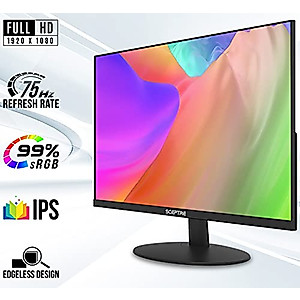 Sceptre IPS 24-Inch Computer LED Monitor 1920x1080 1080p HDMI VGA up to 75Hz 300 Lux Build-in Speakers 2021 Black (E249W-FPT)