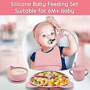Silicone Baby Feeding Set 10 Pack, Baby Led Weaning Supplies with Suction Bowl Divided Plate, Toddler Self Feeding Dish Set with Bib and Plate, Spoon and Fork, Nipple and Teether, Sippy Cup and Lid