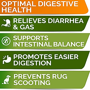 Omega 3 + Vet Strength Dog Probiotics Bundle - Allergy &Itch Relief Skin & Coat Supplement - 1 Billion CFU + Digestive Enzymes - Diarrhea, Gas, Constipation, Upset Stomach Relief - 300ct - Made in USA