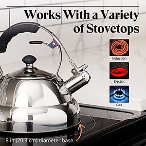Willow & Everett Whistling Tea Kettle for Stove Top - 2.75 Quart Tea Pots for Stove Top w/Stainless Steel, Mirror Finish & Strainer