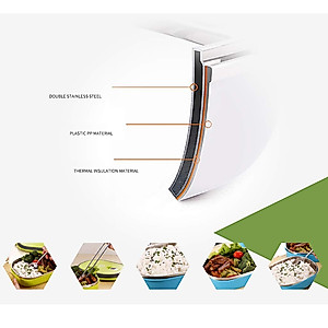 ZLDGYG Stackable Stainless Steel Thermal Compartment Lunch Box | 2-Tier Insulated Bento Box (Color : C)