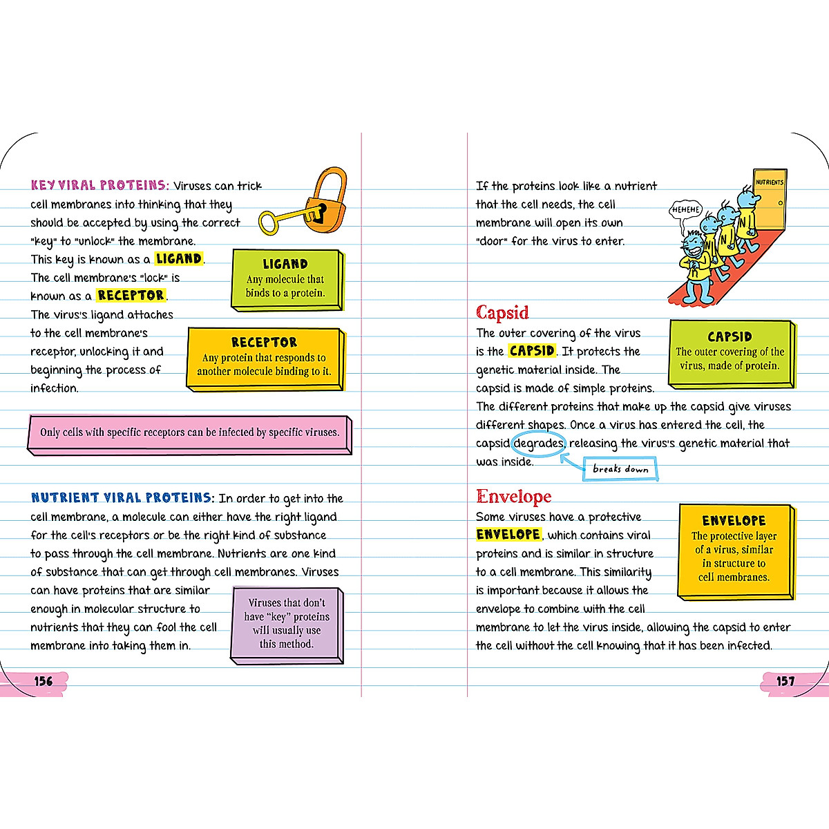 Workman Publishing Company - To Ace Biology in One Big Fat Notebook