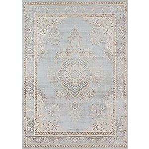 Momeni Rugs Isabella Traditional Medallion Flat Weave Area Rug, 9'3" X 11'10", Blue