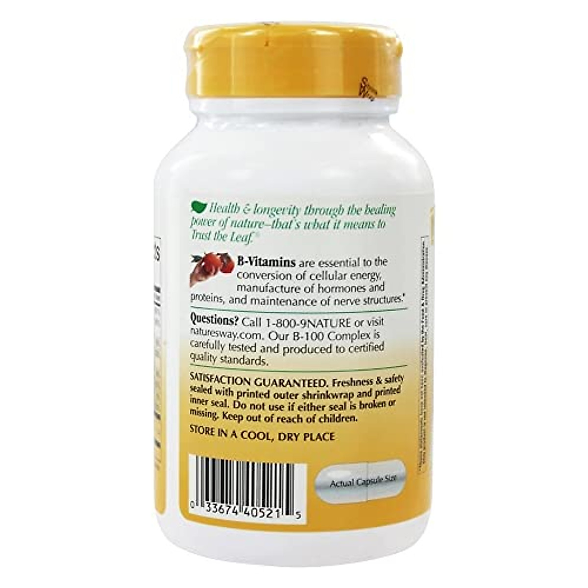Natures Way Vitamin B-100 Complex Capsules For Energy And Nerves - 60 Ea