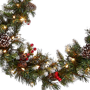 National Tree Company Pre-Lit Artificial Christmas Garland, Green, Frosted Berry, White Lights, Decorated with Pine Cones, Berry Clusters, Plug In, Christmas Collection, 9 Feet