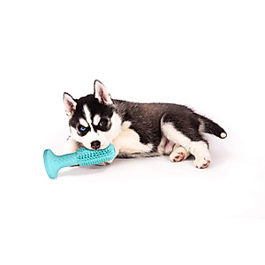 OUQIQI Dog Toothbrush Chew Toys Natural Rubber Toothbrush Toys for Dog