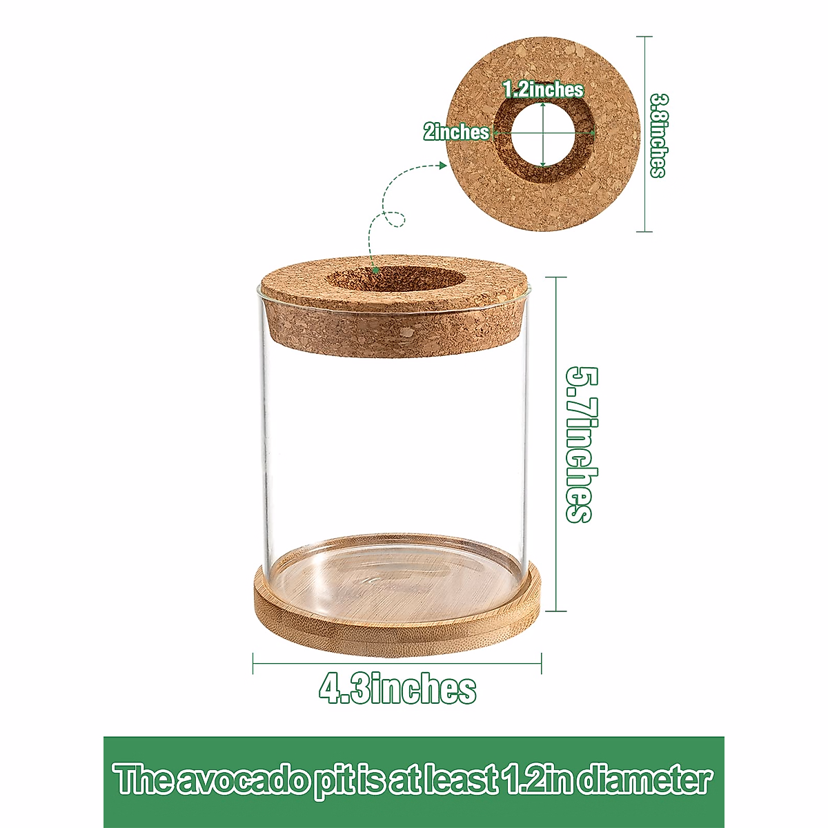 Biggun Avocado Tree Growing Kit - Avocado Pit Planting Bowl with Cork and Wooden Base, Cultivating Seedlings in Novel Way, Great Gift for Family Friends and Gardening Enthusiasts