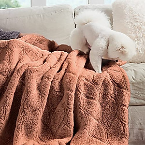 Cozy Bliss Sherpa Throw Blanket, Leaf Textured Bed Cozy Blanket Super Soft and Lightweight Fleece Blanket Warm for Couch Sofa,Fuzzy and Decorative Blanket, 60"x80"Cosmic Rust