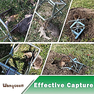 Mole Traps That Kill Best, Scissor Mole Traps for Lawns Vole Traps Outdoor Use, Mole Trap Easy to Set Galvanized Steel Reusable Quick Capture Gopher