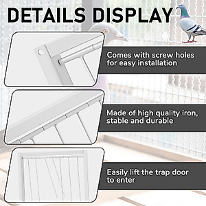 Suzile 2 Pcs 11.81" x 10.24" Pigeon Cage Door Bird Wire One Way Entrance Door Iron Pigeon Trap Door Bird House Door for Racing Supply Birdcage Breeding, White