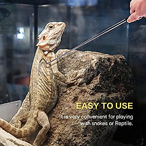 CONSIO Retractable Reptile Hook, Portable Mini Snake Hook Collapsible Stainless Steel Snake Tool, and Snake & Reptile Hook Retractable Catching Snake Handling Tool