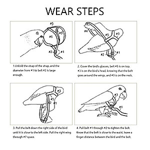 Birds Harness, 1.2M Purple Pet Bird Harness and Leash Adjustable Small Birds Harness Leash Adjustable Training Design Anti Bite Birds Belt Outdoor Flying Training Rope