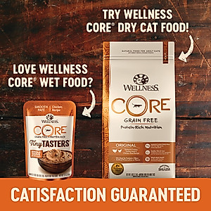 Wellness CORE Tiny Tasters Pate Adult Wet Cat Food, Natural, Protein-Rich, Grain Free, 1.75 Ounce Pouch, 12 Pack (Chicken)