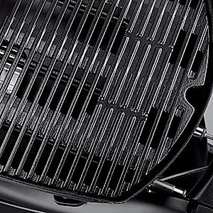 Weber 57067001 Q3200 Portable Natural Gas Grill Titanium Bundle with Premium 2 YR CPS Enhanced Protection Pack