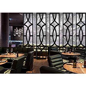 Screen Gems Savoy Screen SG-281-84" x 84" Room Divider, Black