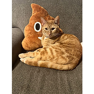 HongMall Cute Plush Poop Pillow Cushion Toy Throw Pillows Gift for Friends, Kids and Dogs, 13.8x13.8 Inch (Brown)