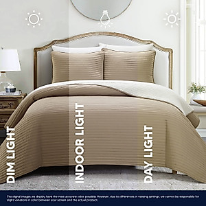 Chic Home St Paul 3 Piece Quilt Set Contemporary Striped Design Sherpa Lined Bedding - Pillow Shams Included, King, Taupe