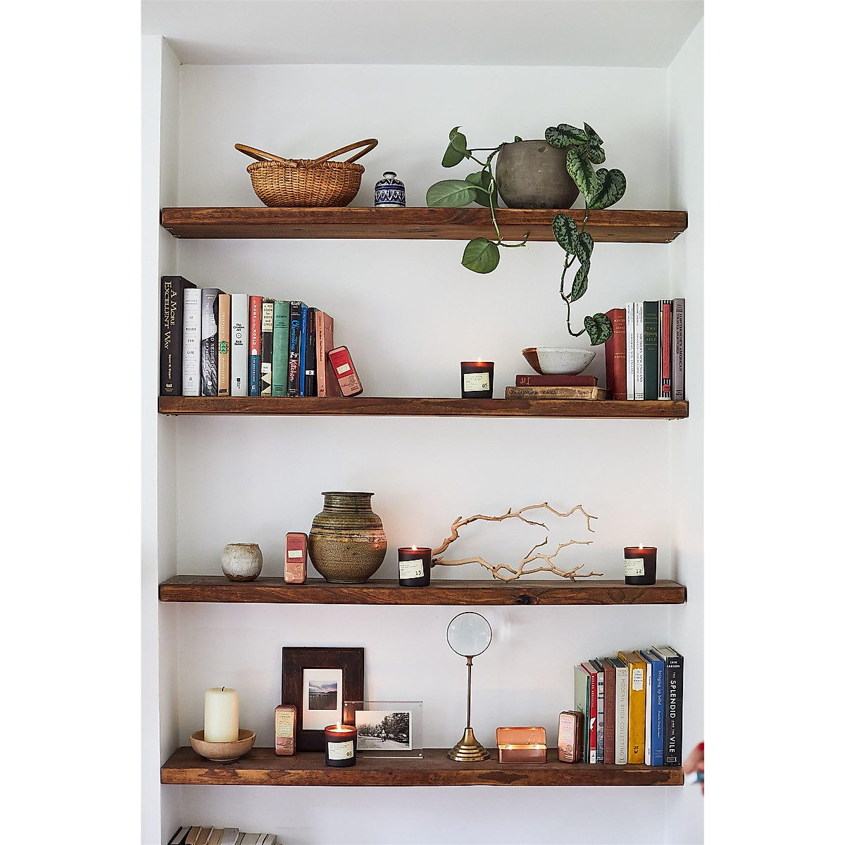 Paddywax Scented Candles Library Charles Dickens Luxury Artisan Candle, 6.5-Ounce, Tangerine, Juniper & Clove