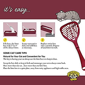 Precious Cat Classic Premium Clumping Cat Litter, 40 lb Bag