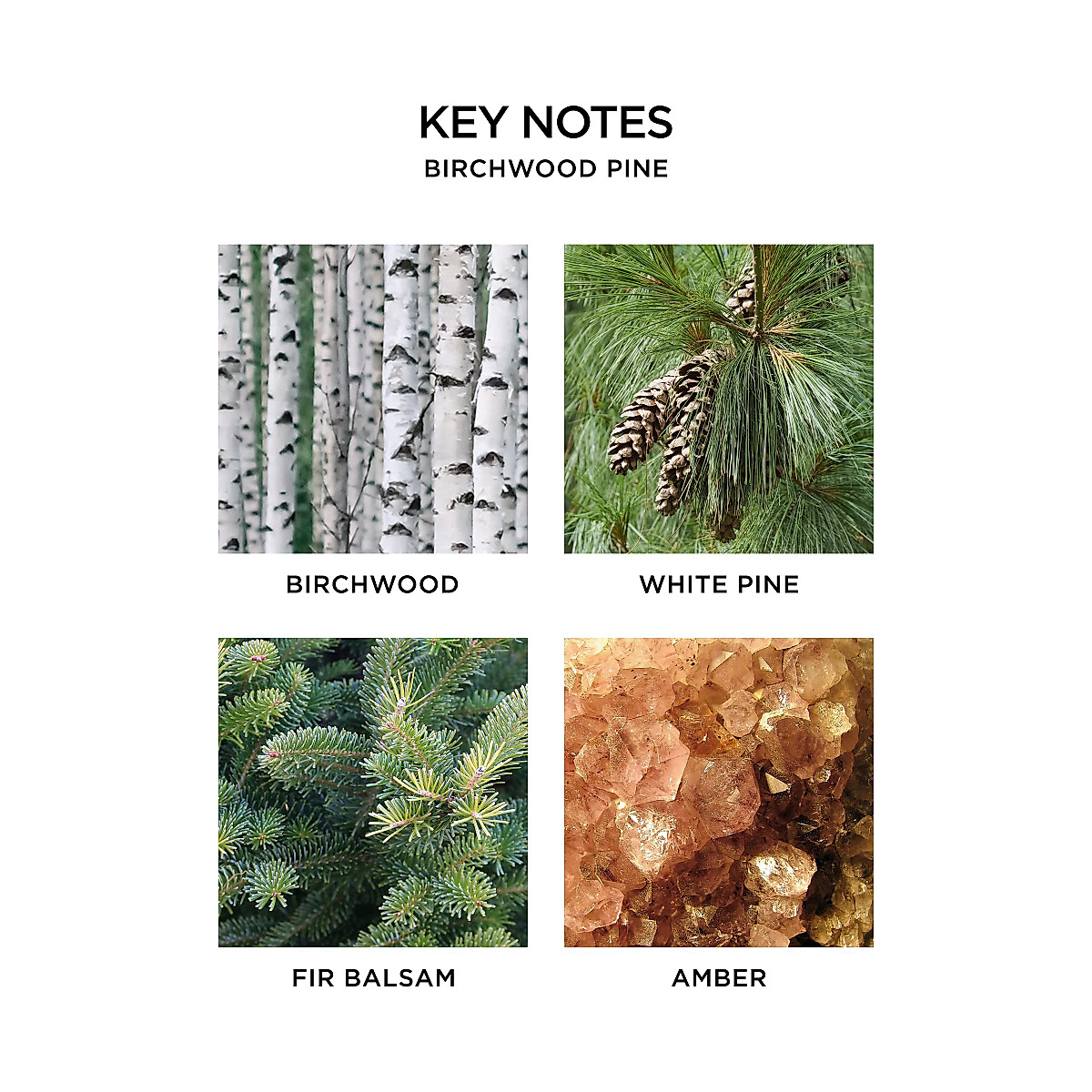 NEST New York Holiday Scented Grand Candle