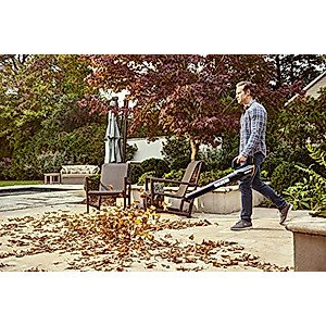WORX 20V Turbine Cordless Two-Speed Leaf Blower Power Share - WG547 (Battery & Charger Included)