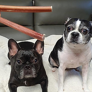 AWARDOG Odor-Free Bully Sticks (6 Inch, 12 Pack Standard Thickness), Fully Digestible 100% Beef Pizzle Chews, Grass-Fed, Grain-Free, Natural Long-Lasting Chews for Small & Large Dogs -12 Count