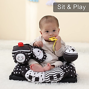 Lovvie & Joy 2-in-1 Tummy Time Mat & Seated Support Pillow,Baby Tummy Time Pillow Support for Newborns and Older Babies,with Detachable Support Pillow and Toys