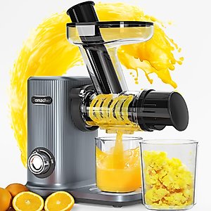 Masticating Cold Press Juicer Machines: Easy Clean Small Mouth Cold Pressed Juicers for Fruit - Kitchen Aid Professional Juicing Estractor for Vegetales - Slow Speed Electric Horizontal Juice Presser