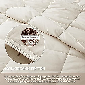 Bafode Goose Down Comforter Queen Size - All Seasons Duvet Insert Queen - Fluffy Goose Feather Down Comforter with Organic Cotton Shell - Luxury Comforter for Queen Size Bed Fill with 54 Oz Goose Down