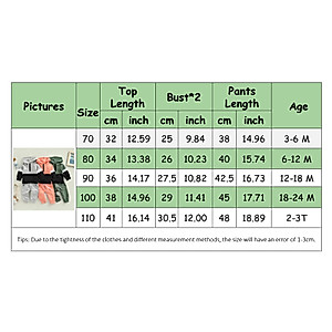 Noubeau Toddler Baby Girl Boy Clothes Long Sleeve Hoodie Zip Sweatshirts Pullover Tops+Casual Pants Set Fall Winter Outfit (Green, 6-12 Months)