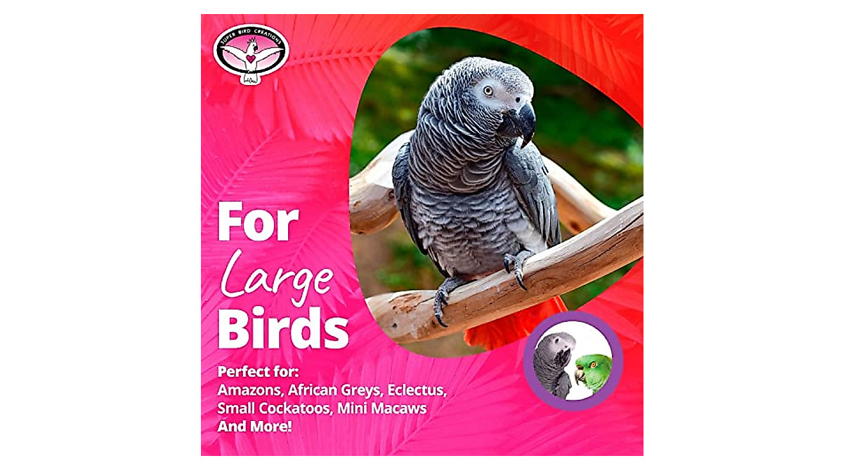 Super Bird Creations Bagel Cascade Toy for Large Birds