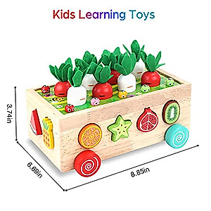 Toddlers Montessori Wooden Educational Toys for Baby Boys Girls Age 2 3 4 Year Old, Shape Sorting Toys Gifts for Kids 2-4, Wood Preschool Learning Fine Motor Skills Game