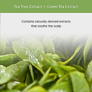 LA'DOR Hair Conditioner - Tea Tree Scalp Clinic Hair Pack, 6.76 Fl Oz - Calming & Nourishing with Snail Mucin, Green Tea, Aloe for Itchy Sensitive Dry Flaky Damaged Scalp