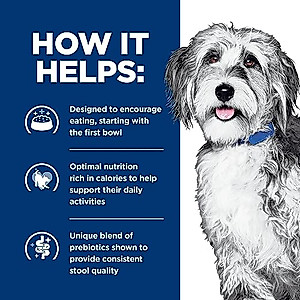 Hill's Prescription Diet ONC Care Wet Dog Food, Chicken & Vegetable Stew, Veterinary Diet, 12.5 oz. Cans, 12-Pack