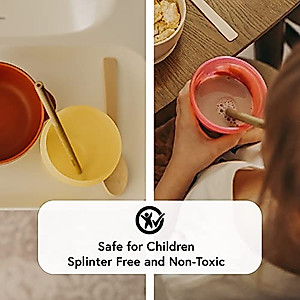 Ibambo 10 Pack Natural Bamboo Straws - Ecofriendly Reusable Straws, 8 inch Biodegradable Straws, Compostable Straws with Straw Cleaner, Bamboo Reusable Straws Alternative to Plastic Disposable Straws