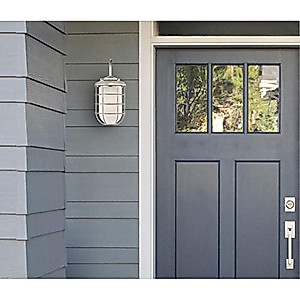 Westinghouse Lighting 5229000 14 Watt (100 Watt Equivalent) A19 Daylight LED Light Bulb, Medium Base, Clear